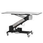 Veterinary Exam Tables - Stainless Steel and Millwork Cabinets
