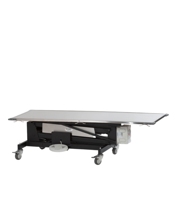 Veterinary Exam Tables - Stainless Steel and Millwork Cabinets