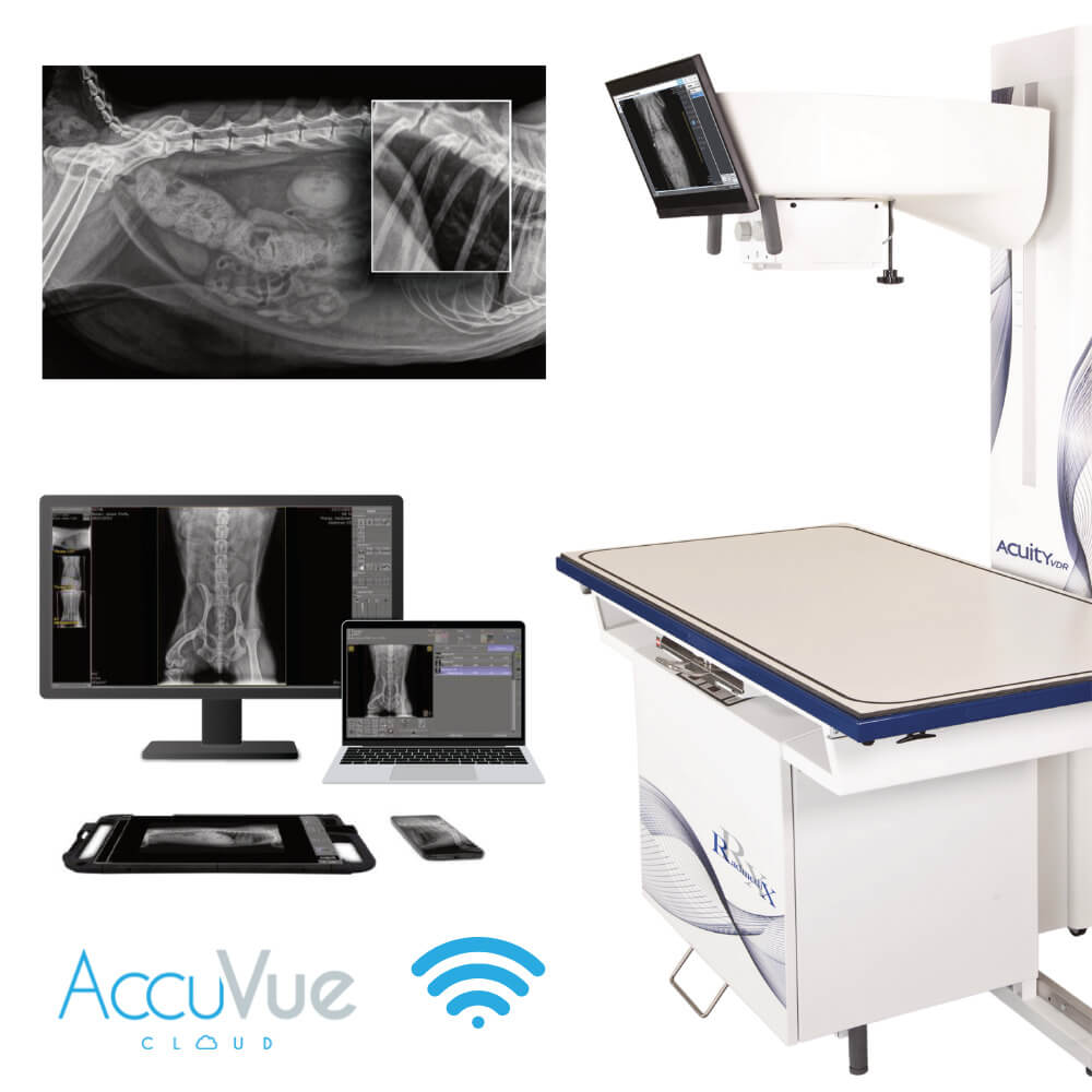 Acuity VDR Veterinary Digital X-Ray Platform