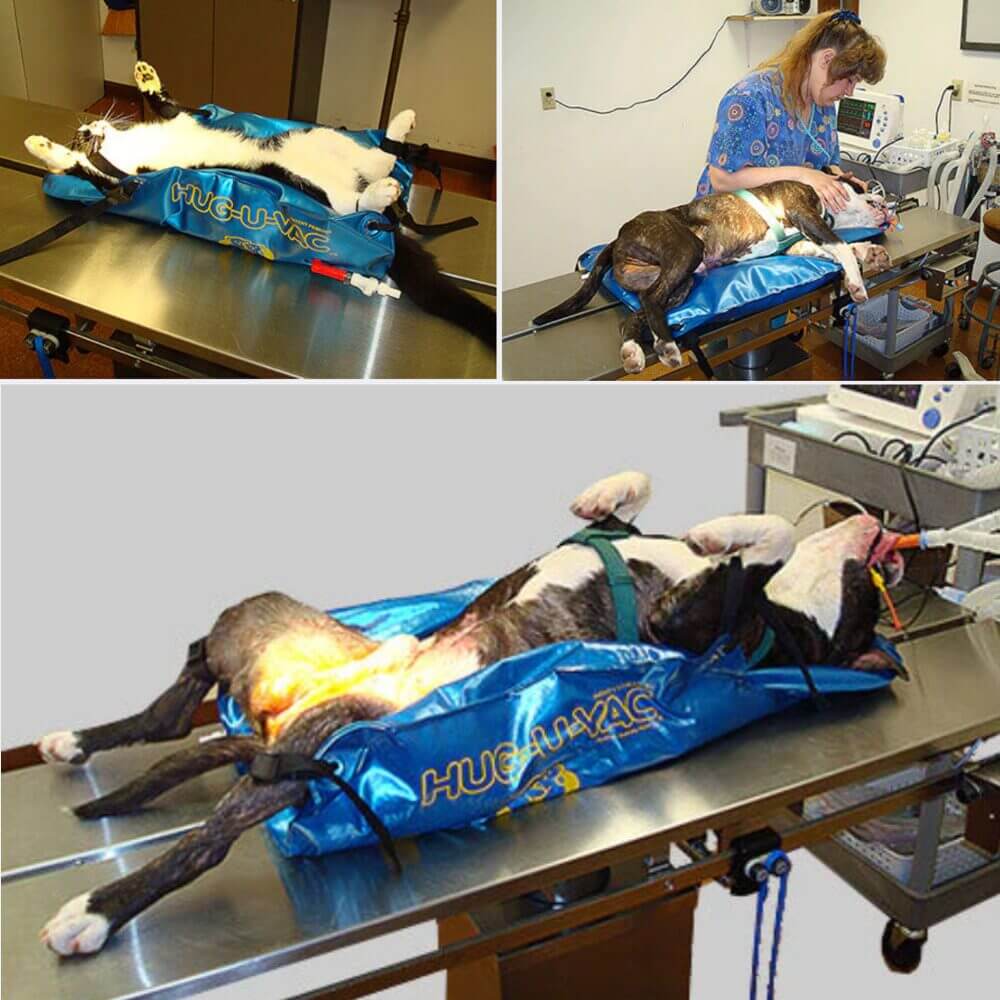 Hug-U-Vac Veterinary Surgical Positioning - Infinium Veterinary
