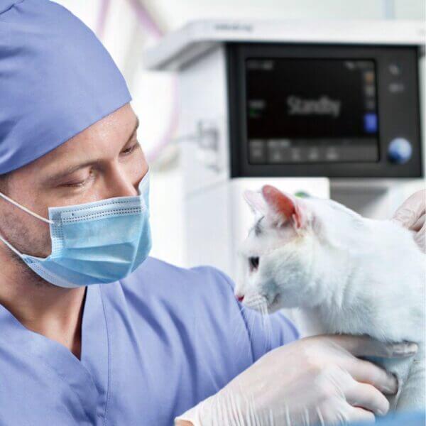 Mindray Veta 3X: Portable Anesthesia Machine - Infinium Veterinary