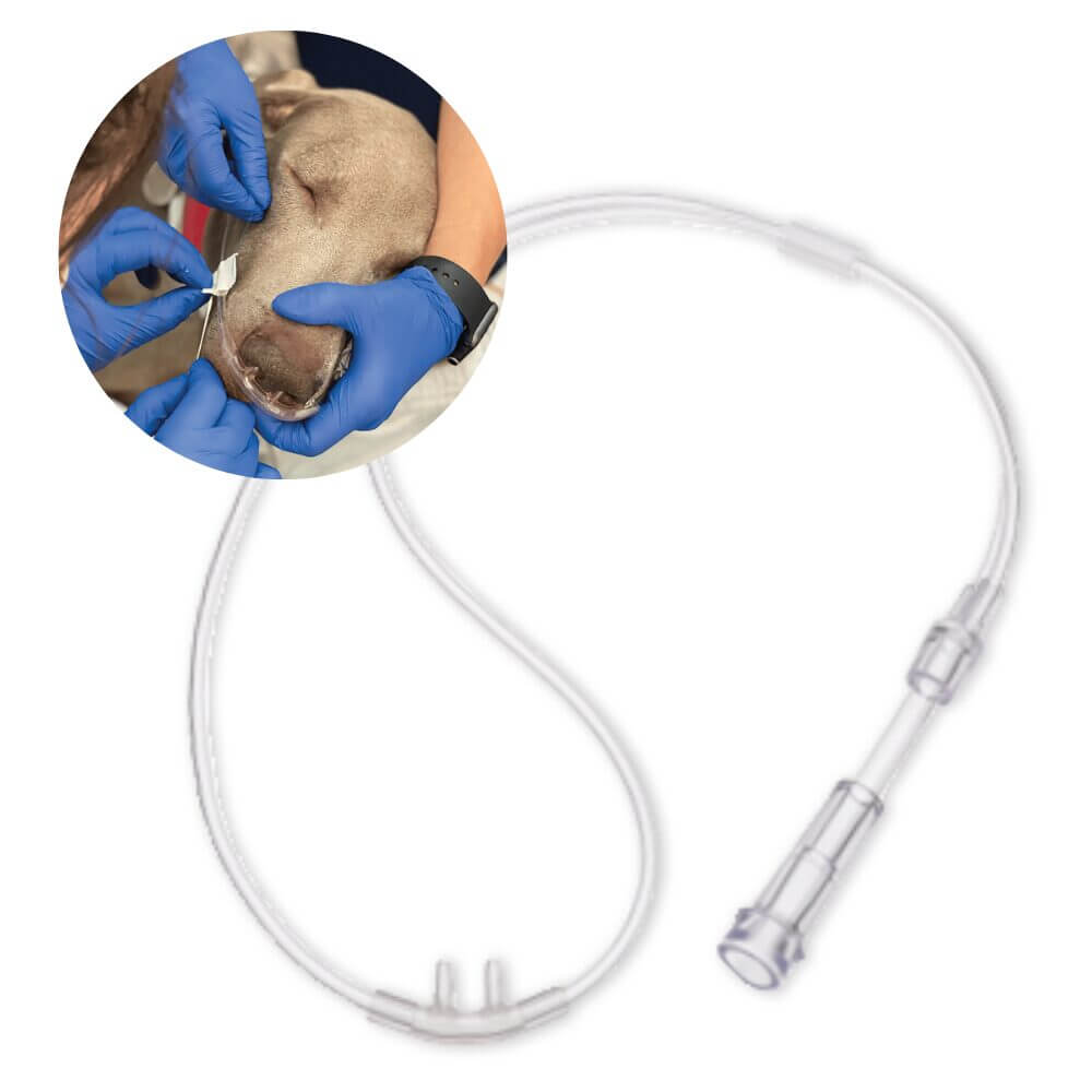 Infinium Equine Anesthesia Machine - Infinium Veterinary